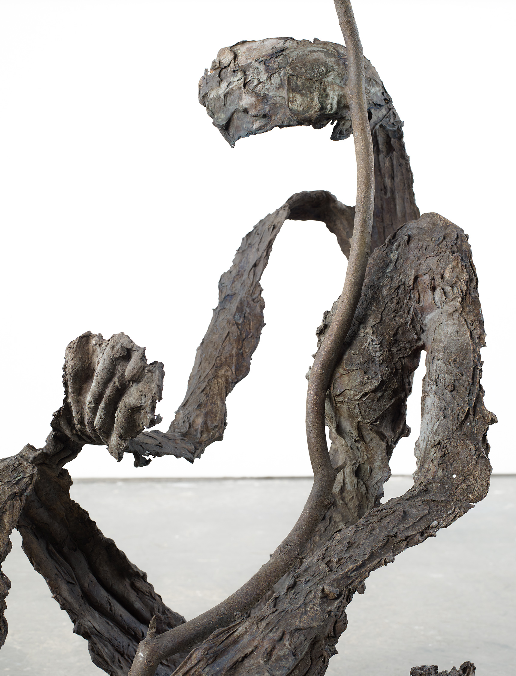 GIUSEPPE PENONE - Lévy Gorvy
