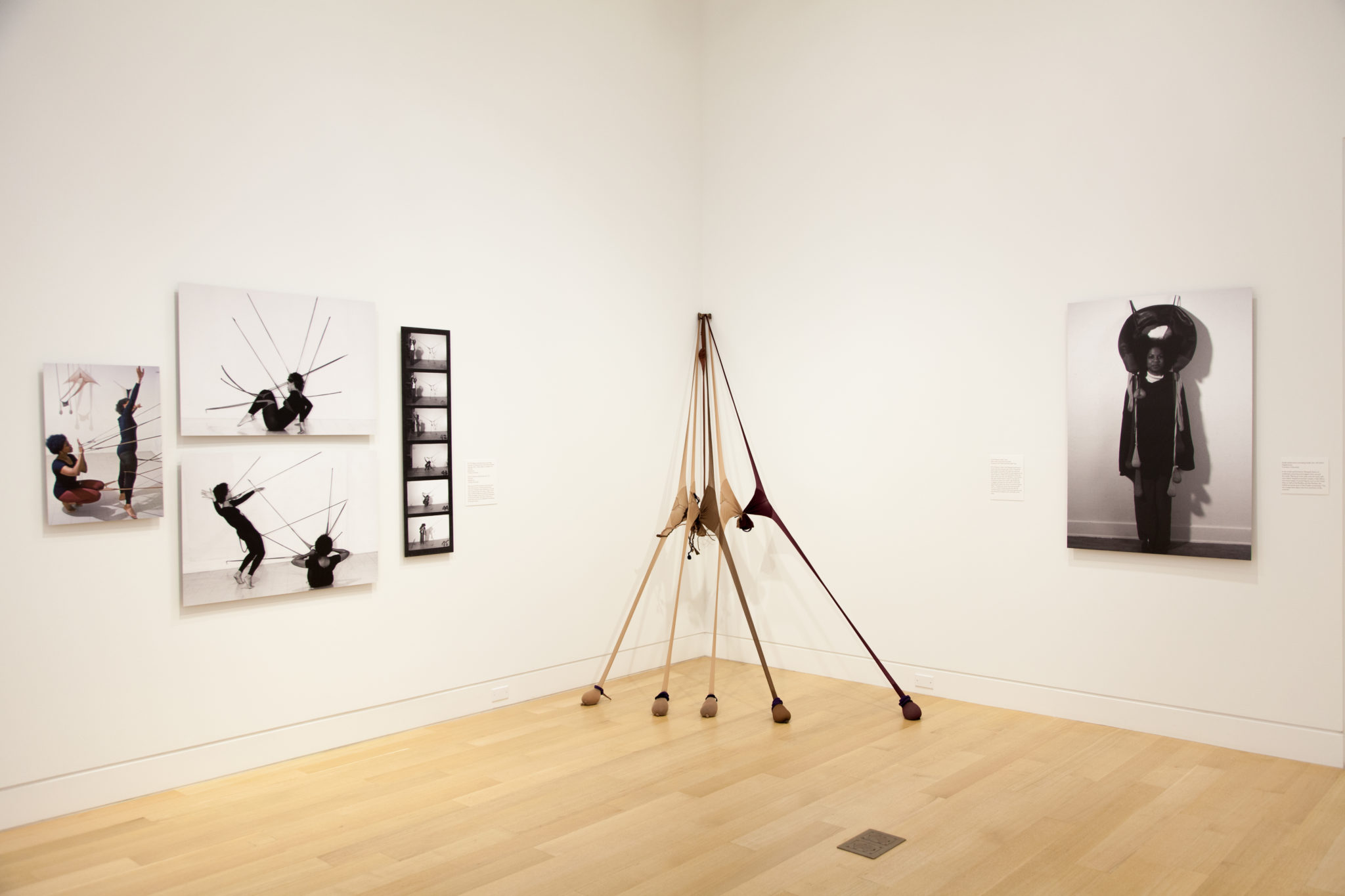 'Senga Nengudi: Improvisational Gestures' at DePaul Art Museum - Lévy Gorvy